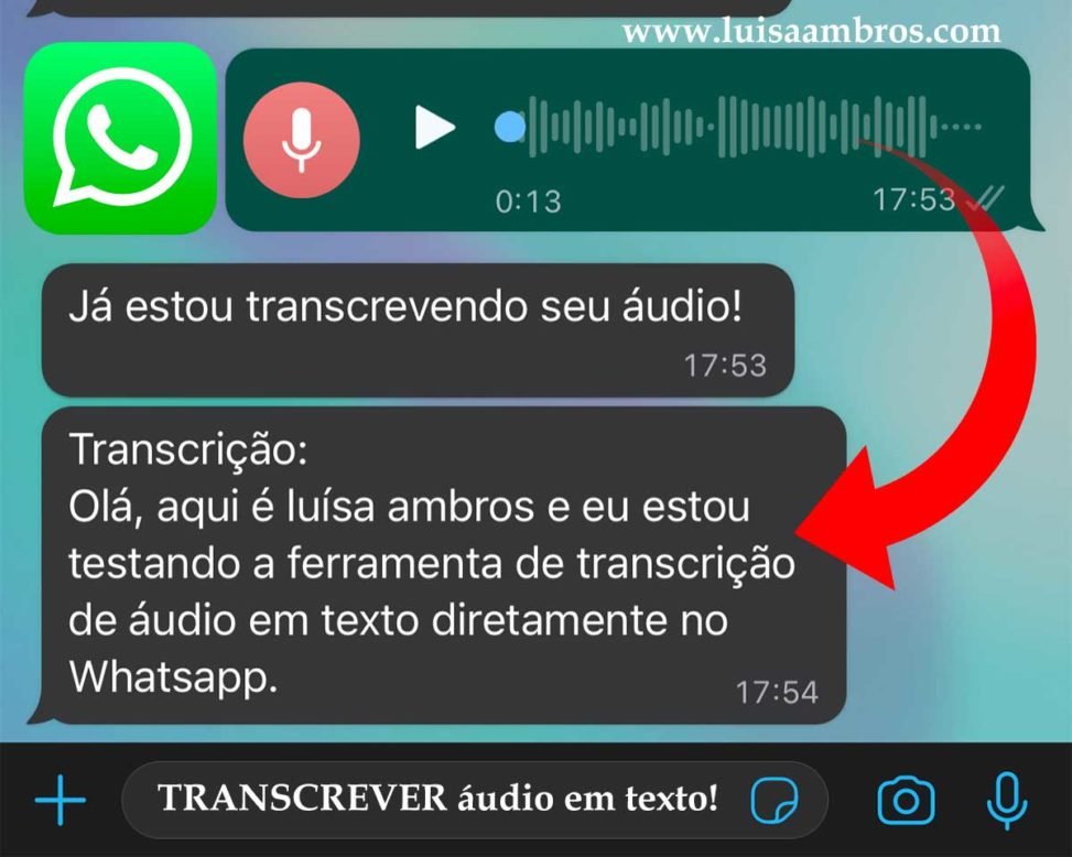 transcrever-audio-whatsapp - Luisa Ambros